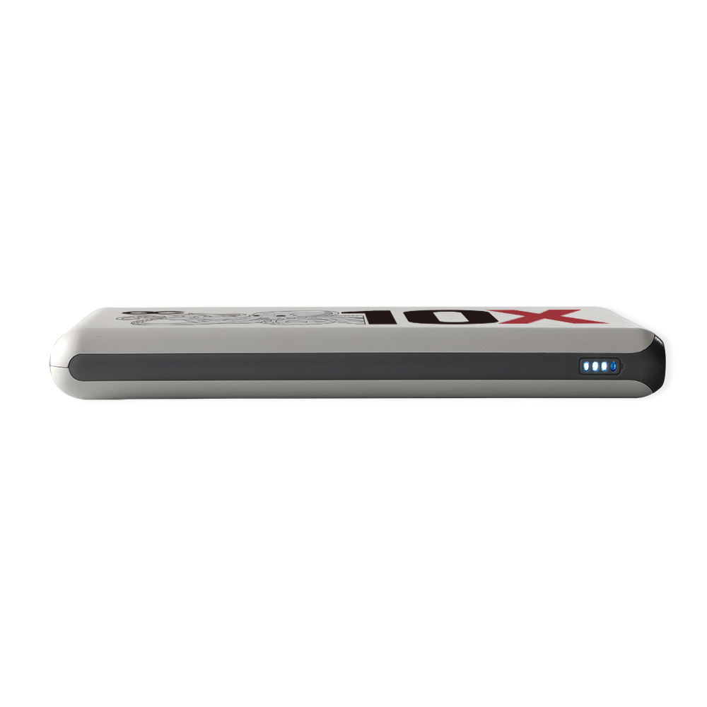 Beverly Mega Power Bank 10000 - PWB128 | SunJoy Group, Inc.