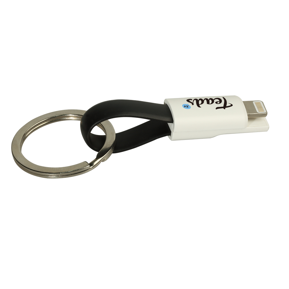 Commons Key Ring Charging Cable - CBL09 | SunJoy Group, Inc.